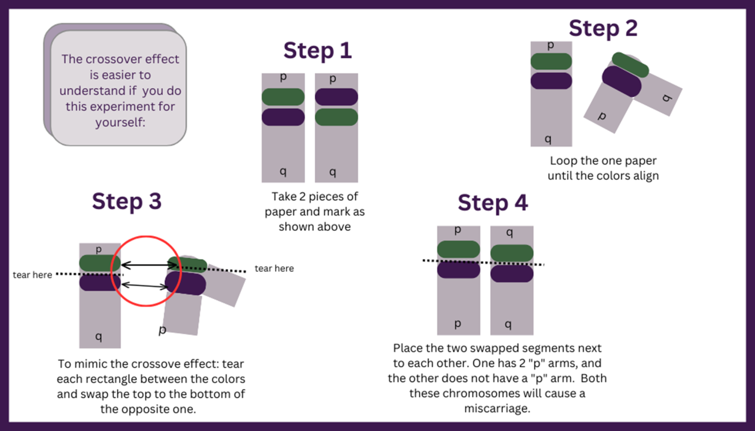 Inverted Y Chromosome – Infertility Portal