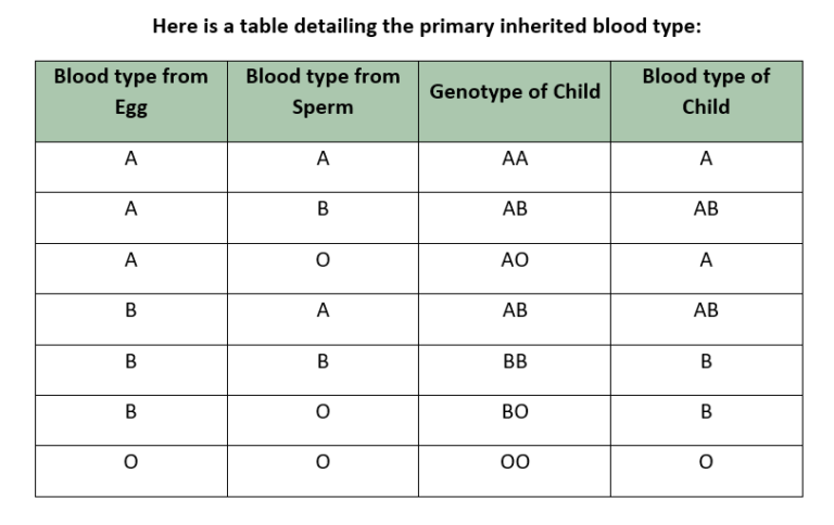 Understanding Blood Types – Infertility Portal